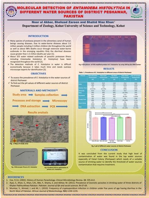 Molecular Detection Of Entamoeba Histolytica In Different Water Sources Of District Peshawar
