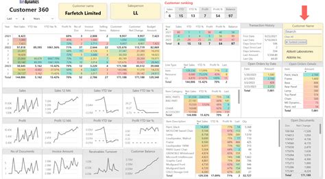 Harness The Power Of Bi4dynamics To Identify Your Best Customer