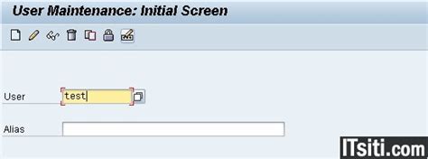 Assigning A Role To A User In Sap