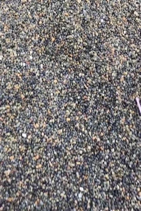 Pool Party Scrolller