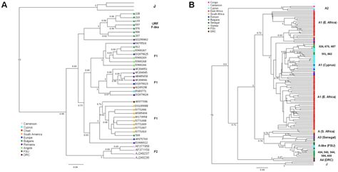 Phylogenetic Relationships Were Inferred Using Bayesian Methods Download Scientific Diagram