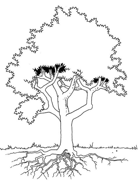 Tree Roots Coloring Page