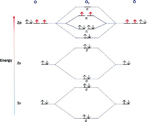 Oxygen Molecule Diagram