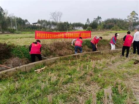 志愿服务武宣开展修水利三下乡 助力乡村振兴 澎湃号政务 澎湃新闻 The Paper
