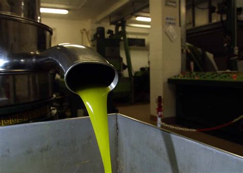 Olio italiano doc? No, prodotto in Marocco..Contraffazioni, la Cina ...