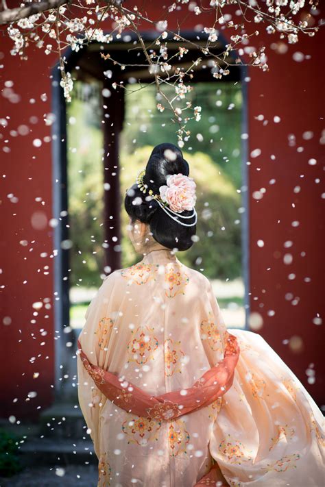 桃花落花摄影图片 桃花落花摄影作品 千库网