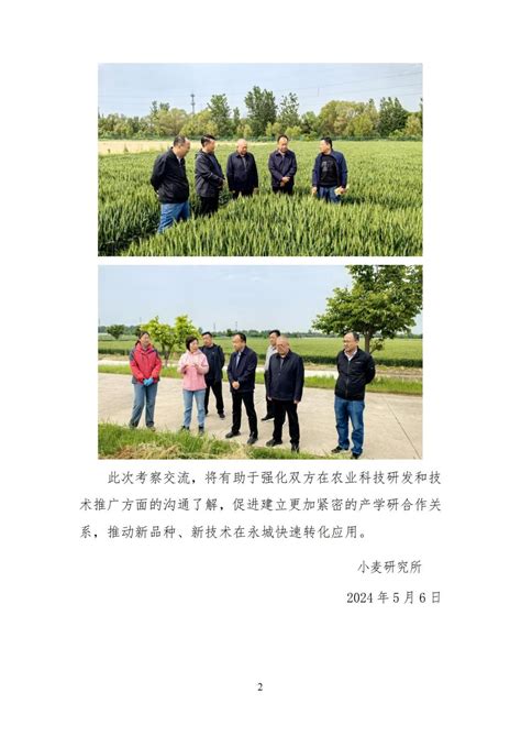 永城市院县共建现代农业科技综合示范县建设工作简报2024年第06期 科技成果示范推广处