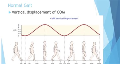 Gait Flashcards Quizlet