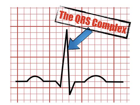 Ecg Segments And Intervals — The Pr