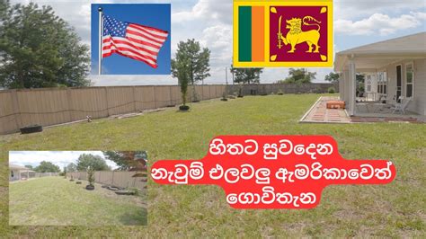 ගොවිතැන හිතට සුවදෙන නැවුම් එලවලු ඇමරිකාවෙත් Youtube