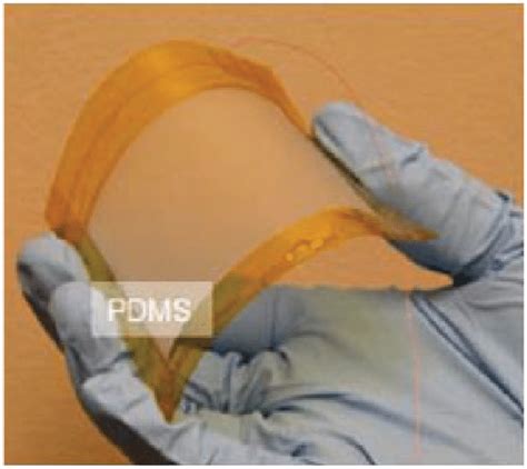 Fabricated Pdms Film Placed On Ito Electrode 89 Download
