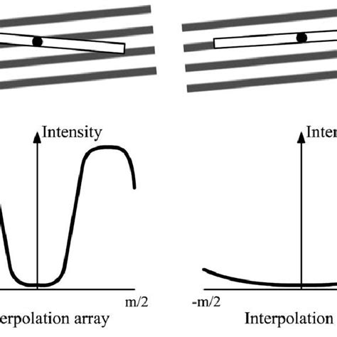 intensity distributions along two interpolation arrays with different