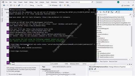 دانلود udemy asp core 5 mvc hands on lab with practical projects آموزش