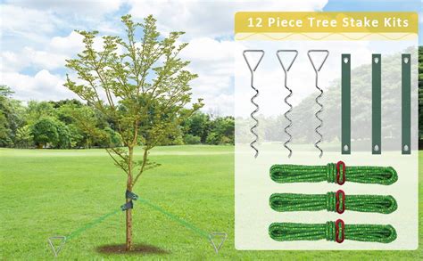 Fcends Juego De Estaca Para árboles Estacas De árbol En Espiral Resistentes Para árboles Fcends Juego De Estaca Para árboles Estacas De árbol En Espiral Resistentes Para árboles