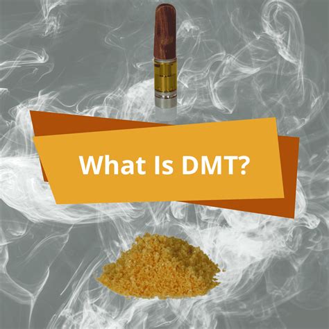 What Is Dmt Informative Article Sacredmeds