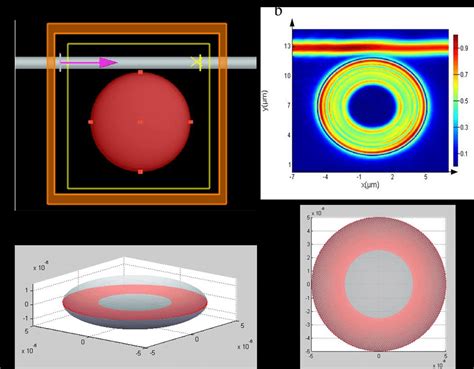 3 A Lumerical Fdtd Simulation Configuration B High Radial Order Download Scientific