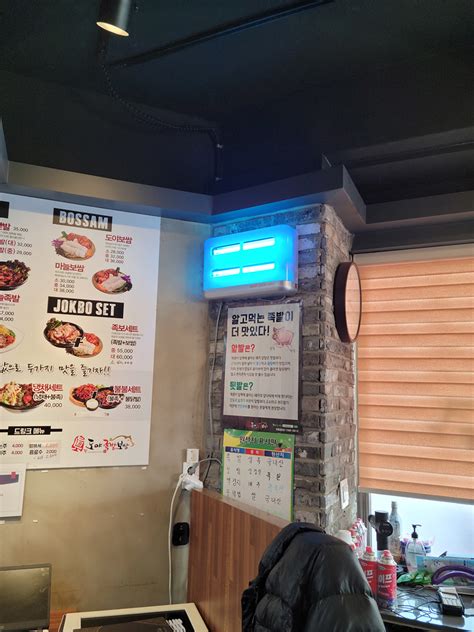 음식점 해충용 전자포충기 설치 사례 방제사례 주식회사 패트롤