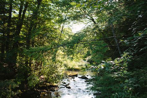 State Of Our Estuaries Home