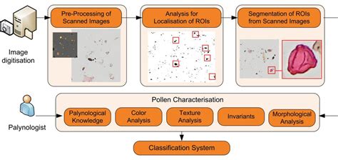 Typical Pollen Detection System Image Digitalisation Pre Processing Download Scientific