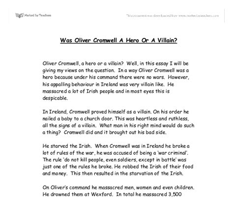 Essay Examples Gender Roles Essay