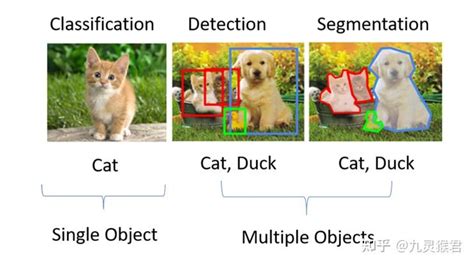 09 Torchvision 其他有趣的功能 知乎