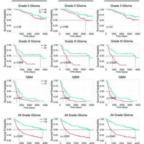Representative Immunohistochemical Analysis Of C3d And C4d Complement Download Scientific