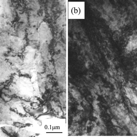 Microstructure Of Cu Cr Alloy A Infiltrated B 3 Gpa Treatment Download Scientific Diagram