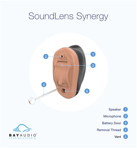 What Are The 4 Basic Parts Of A Hearing Aid At Hunter Plume Blog