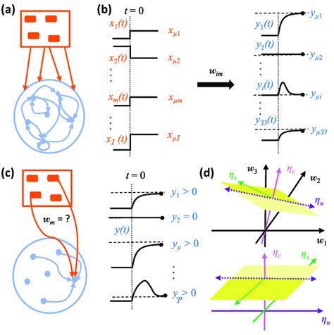 Finding Network Structure That Implements Functional Responses A Download Scientific Diagram