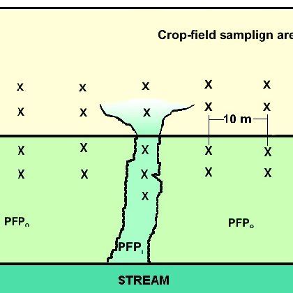 Spatial Distribution Of Soil Samples X In Cropfield Orange Area And Download Scientific