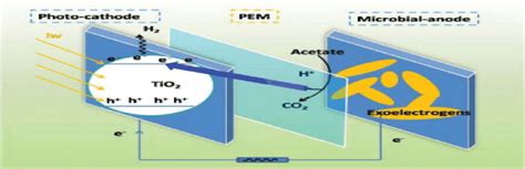Principle Of Working Of Mpc 38 Download Scientific Diagram