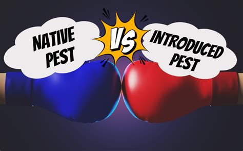 Native Vs Introduced Pests Who S Who In Singapore