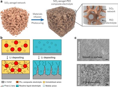 A Schematic Showing The Synthetic Procedures Of The Download Scientific Diagram