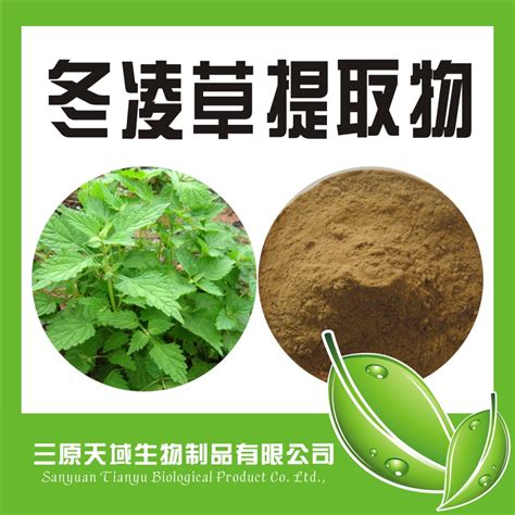 冬凌草提取物10 1 三原天域生物制品有限公司