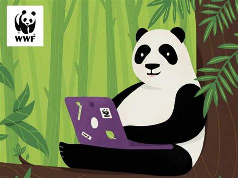 Wwf Wwf Bulgarias Achievements In 2022 Inspire Us For Future