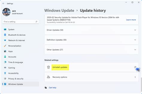 SearchProtocolHost Exe Application Error X E