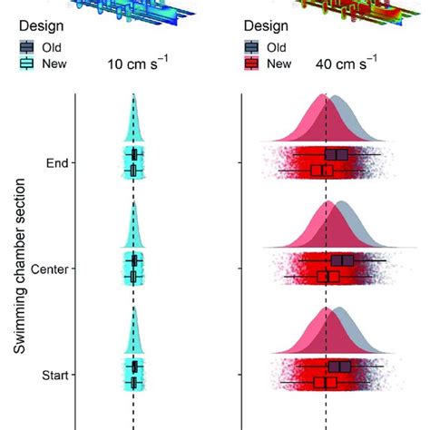 Modelled Flow Velocities Across Different Swimming Chamber Sections And Download Scientific