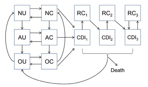 Compartmental Model Structure For Clostridium Difficile Infection Cdi Download Scientific