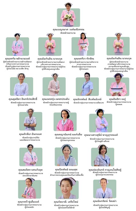 ทำเนียบกลุ่มภารกิจด้านการพยาบาล