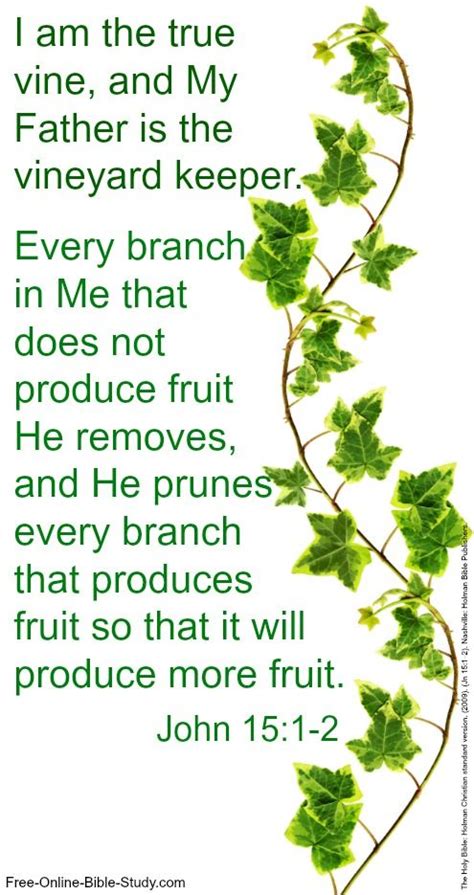 True Vine Jesus John 151 2 Bible Verse With Nature Background