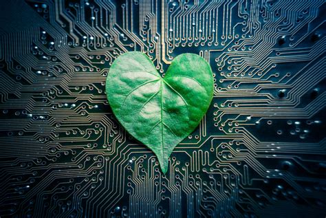 The Future Of Ethical And Sustainable Electronics Ec Electronics