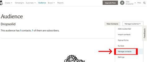 How To Edit Groups In Mailchimp Dropsolid Experience Cloud Documentation