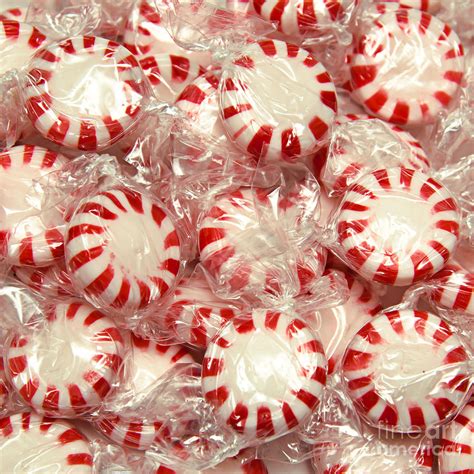 Peppermint Candy
