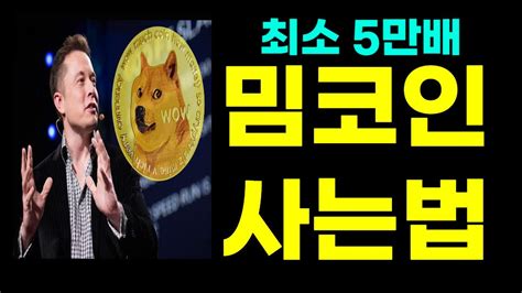 최소 5만배씩 오르는 밈코인들 사는 방법 밈코인 밈코인투자 비트코인 코인추천 Youtube