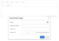 Add A Local File Picker To Image Dialog In TinyMCE CodexWorld