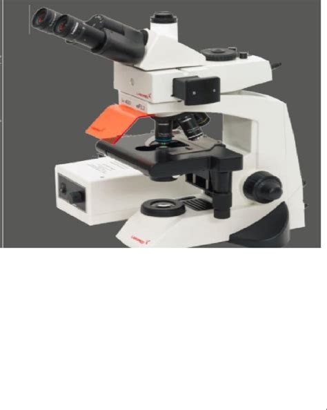 Labomed Fluorescent Microscope Resolution 5mp Magnification 100x At