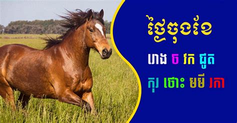 ថ្ងៃដាច់ខែចាស់ចូលខែថ្មី ឆ្នាំទាំង៨ រោង ច វក ជូត កុរ ថោះ មមី រកា ប្រញាប់ធ្វើរឿងទាំងនេះ Mah Khmer