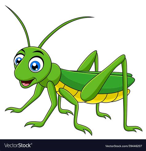 Cute Grasshopper Cartoon Vector Image On Vectorstock การ์ตูนวิทยาศาสตร์ การ์ตูน ภาพ