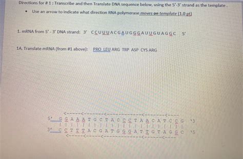 Solved Directions For 1 Transcribe And Then Translate DNA Chegg Com