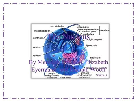 PPT The Nucleus PowerPoint Presentation Free Download ID